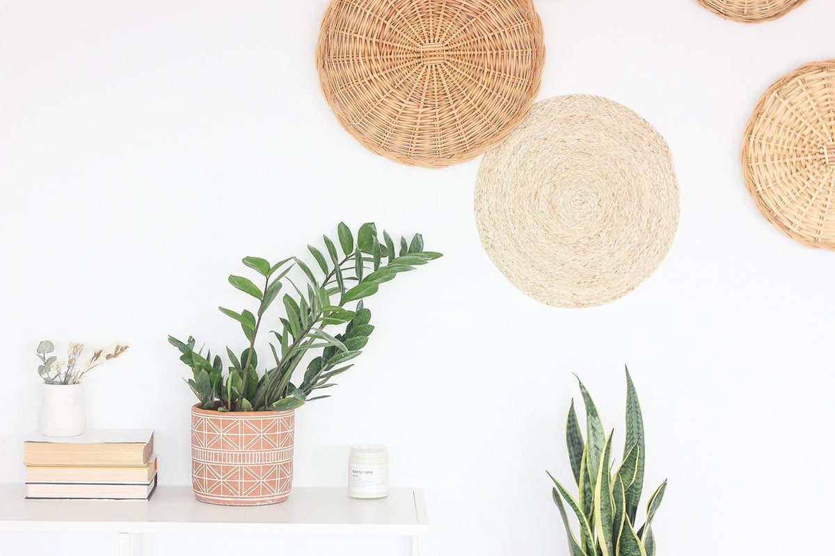 Boho Decor and Plant Accessories – SPROUT & ABOUT